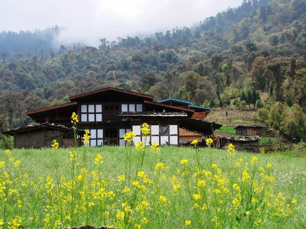Kommen Sie mit, auf eine aussergewöhnliche Reise durch Darjeeling ...