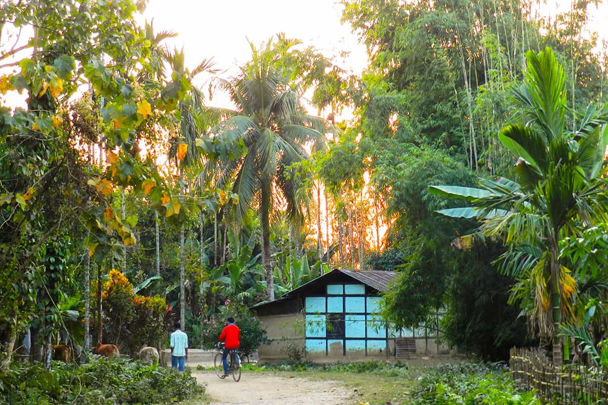 Explore Assam: Key Attractions and Travel Tips